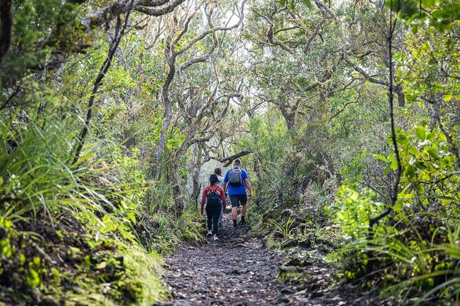 Auckland to Rangitoto Island Ferry - Final Paragraphs