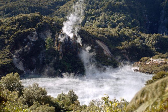 Auckland to Rotorua Private Tour - Why Choose This Tour?