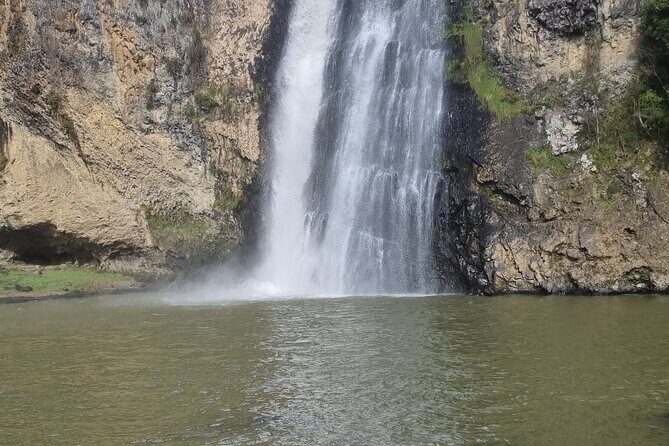 Auckland Town and Country Delights Tour - A Complete Dive Into the Itinerary