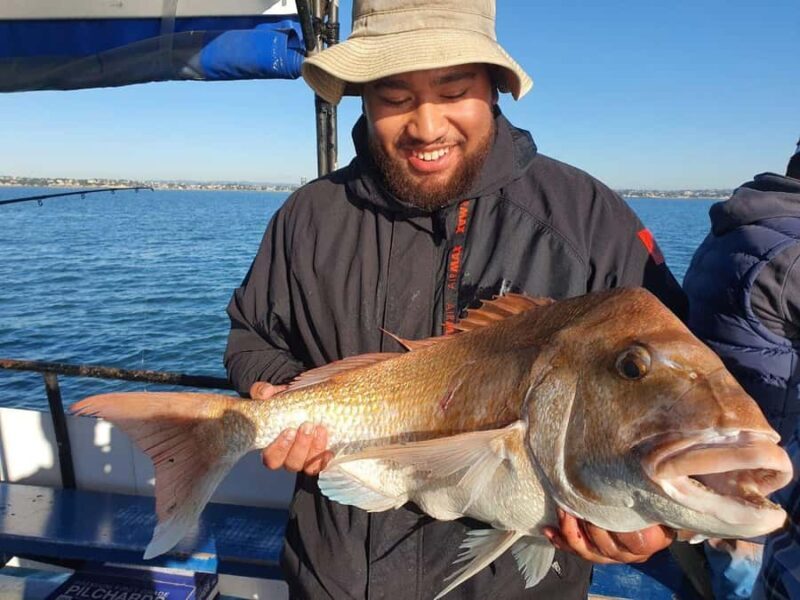 Auckland: Twilight Fishing Charter 5pm - 9:30pm - What to Expect on the Auckland Twilight Fishing Tour