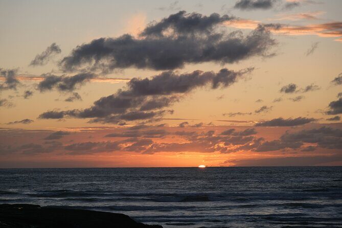 Auckland Urban Charm Half Day Tour - Who Will Love This Tour?