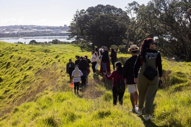 Auckland Urban Mori Experience with Transportation - Lunch: Savoring Traditional Maori Cuisine