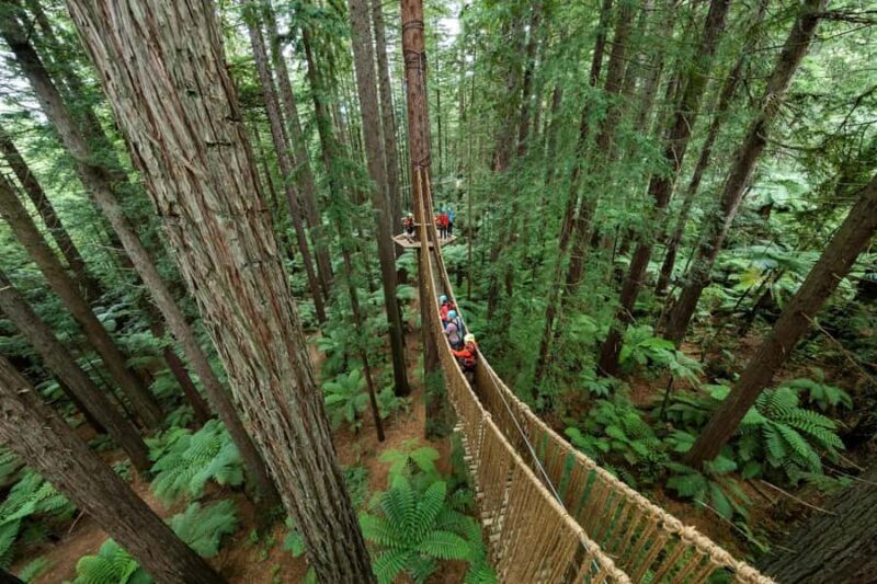 Auckland: Wai Ariki Hot Springs & Rotorua Redwoods Tour - The Sum Up
