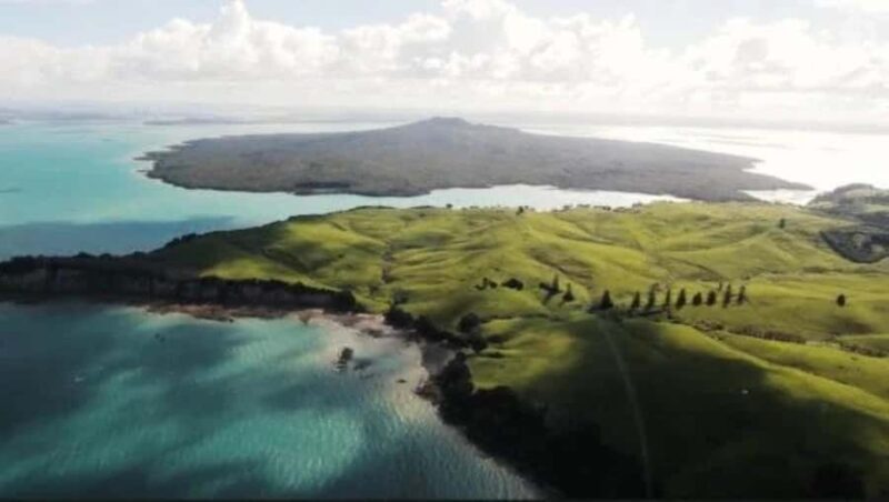 Auckland: Waiheke Island Wine and Food Tasting with Flights - The Value of This Experience