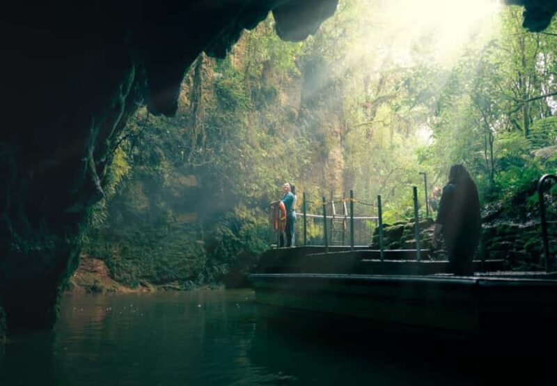 Auckland: Waitomo Caves & Rotorua - Te Puia Small-Group Tour - Key Points