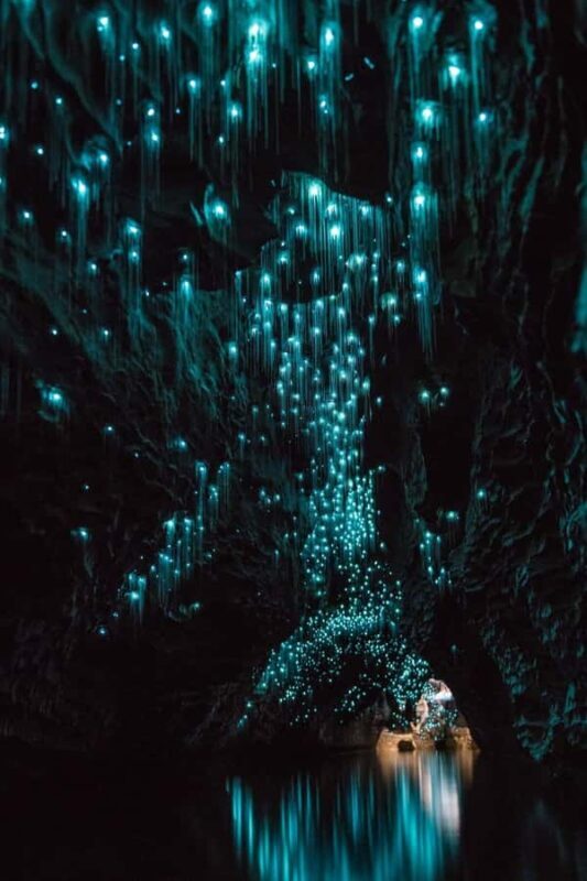 Auckland: Waitomo Caves & Rotorua - Te Puia Small-Group Tour - Transport, Timing, and Value