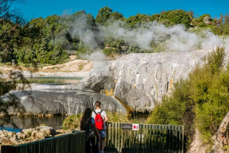 Auckland: Waitomo Caves & Te Puia Rotorua w Picnic Lunch - Key Points