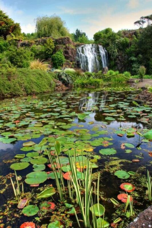 Auckland Waterfall Tour - An Overview of the Auckland Waterfalls Tour
