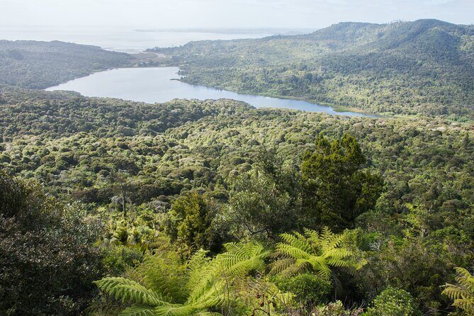 Auckland West Coast Half-Day Private Tour - Who Is This Tour Perfect For?  