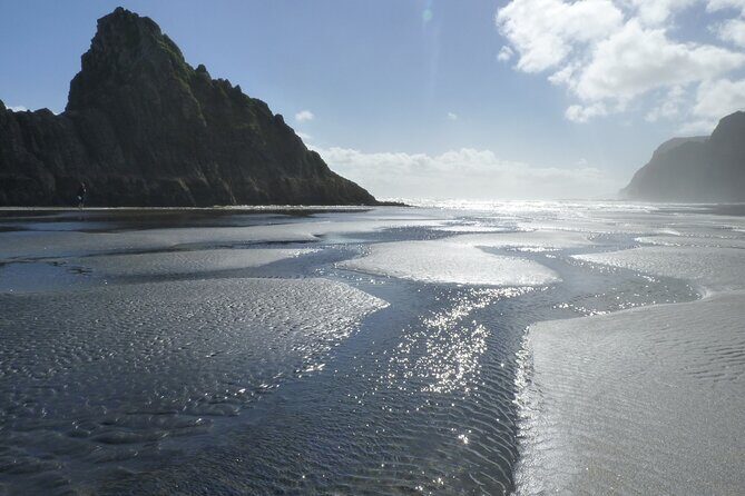 Auckland West Coast Rainforest and Beach Tour - Exploring Auckland’s West Coast Rainforest and Beaches: A Practical Review