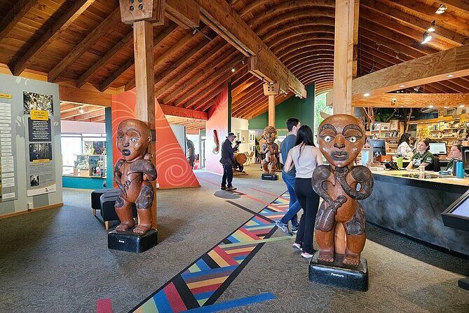 Auckland West Coast Rainforest and Beach Tour - An In-Depth Look at the Auckland West Coast Rainforest and Beach Tour