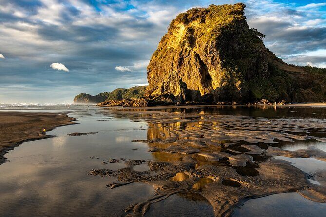 Auckland West Coast Rainforest and Beach Tour - The Sum Up