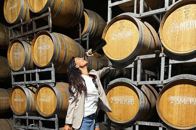 Auckland West Vineyard Tour with lunch and tastings incl - Key Points