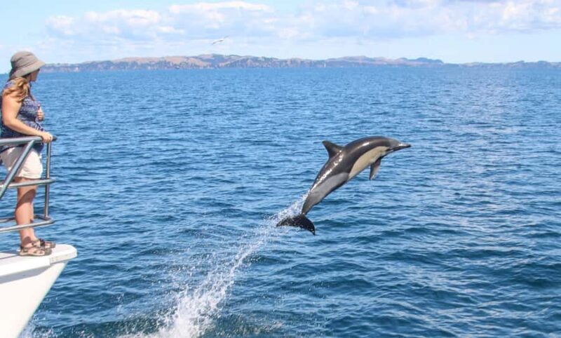 Auckland: Whale and Dolphin Watching Half-Day Eco Cruise - Exploring Auckland’s Marine Wonders: A Practical Guide