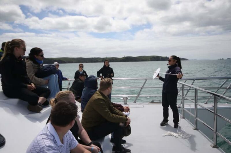 Auckland: Whale and Dolphin Watching Half-Day Eco Cruise - Final Thoughts: Who Should Book This Tour?