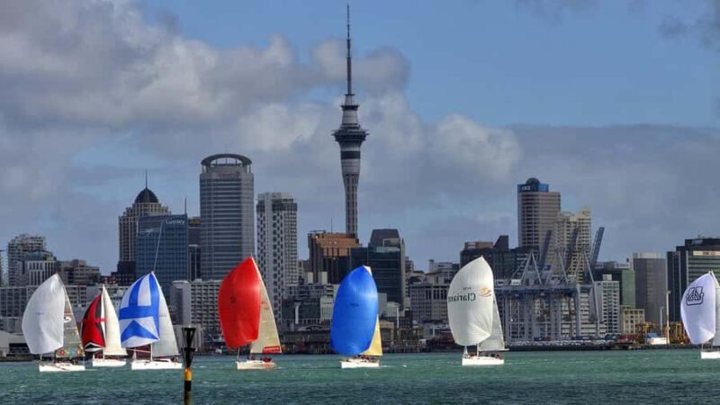 Auckland: Wild West Coast, Black Sand Beaches Tour inc Lunch - Who Should Book This Tour?