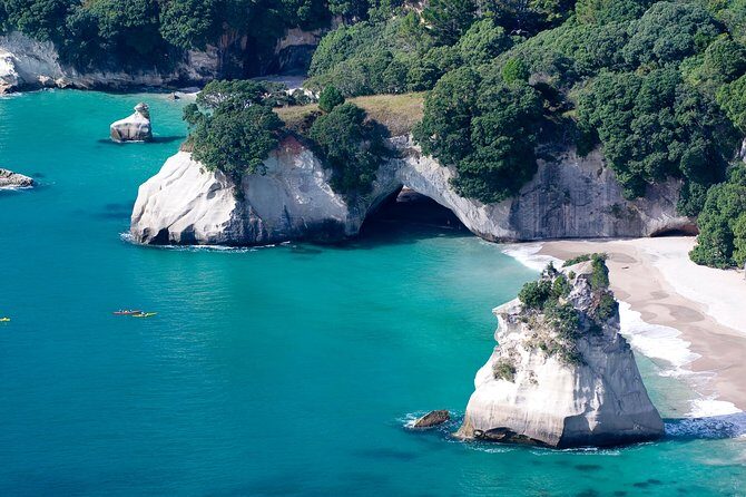 Auckland's heritage wine region & City Tours - The Sum Up: Who Should Consider This Tour?