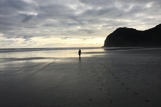 Auckland's Wild West Coast & Black Sand Beaches Tour inc Lunch - The Sum Up