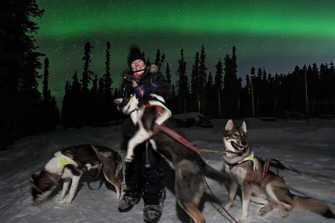 Aurora Activity at Sluice Box Sled Dogs - An In-Depth Look at the Aurora Activity at Sluice Box Sled Dogs
