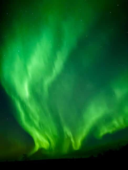 Aurora BBQ in the Private Place in Rovaniemi - Key Points: