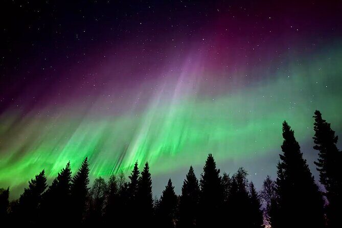 Aurora BBQ in the Private Place in Rovaniemi - Key Points