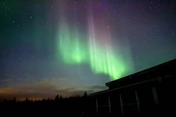 Aurora BBQ in the Private Place in Rovaniemi - Who Should Book This Tour?