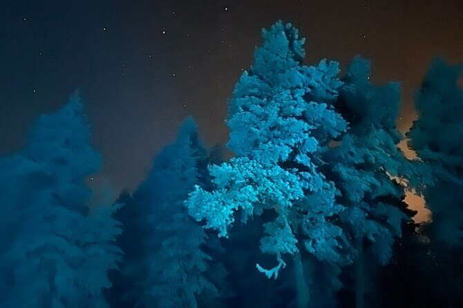 Aurora Borealis Dinner in a Glass Igloo - What to Expect from the Tour