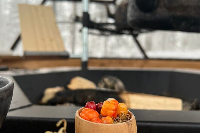 Aurora Borealis Dinner in a Glass Igloo - Final Thoughts