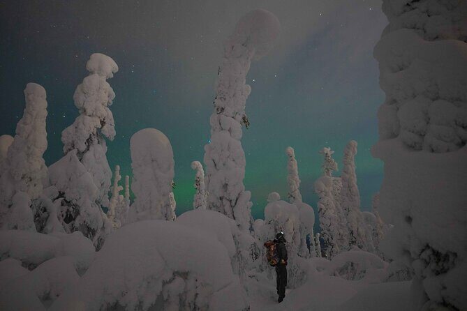 Aurora Borealis Snowshoeing Adventure by Night from Rovaniemi - Key Points