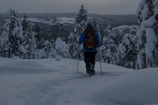 Aurora Borealis Snowshoeing Adventure by Night from Rovaniemi - An In-Depth Look at the Experience