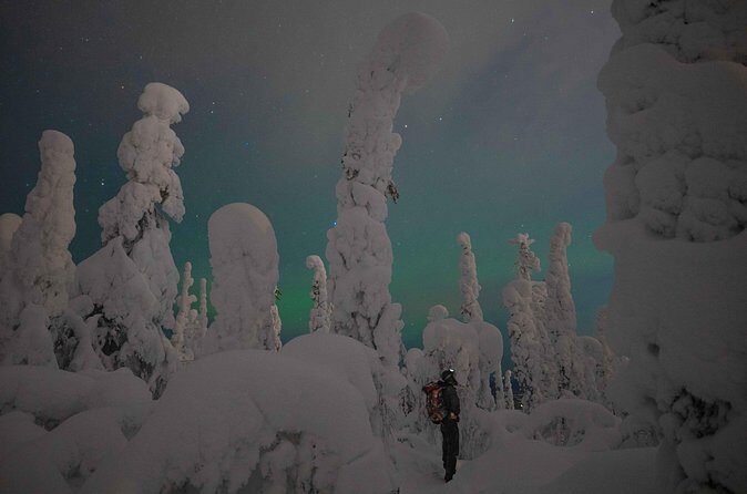 Aurora Borealis Snowshoeing Adventure by Night from Rovaniemi - FAQ