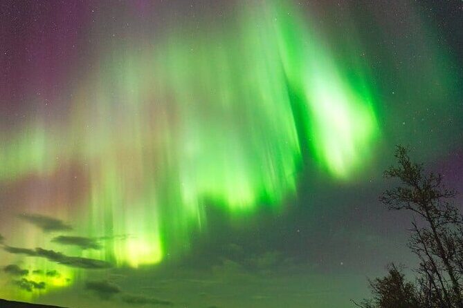 Aurora Car Chasing Tour with Photographer - Final Thoughts