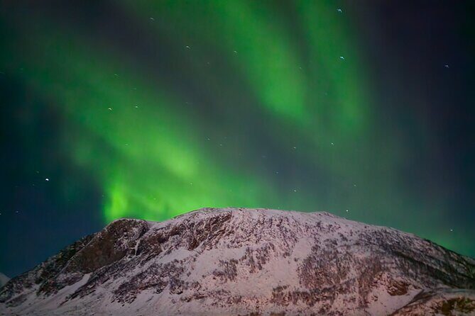 AURORA DALY Northern Lights Safari Tour 8 Guests with PCKUP - Pricing and Value
