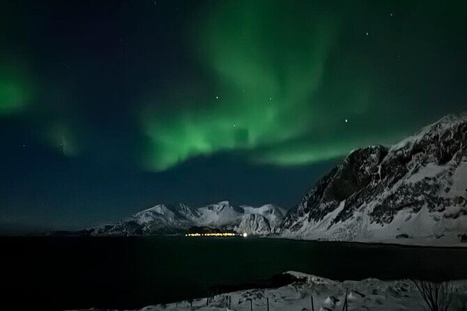 AURORA DALY Northern Lights Safari Tour 8 Guests with PCKUP - Authentic Experiences from Reviews