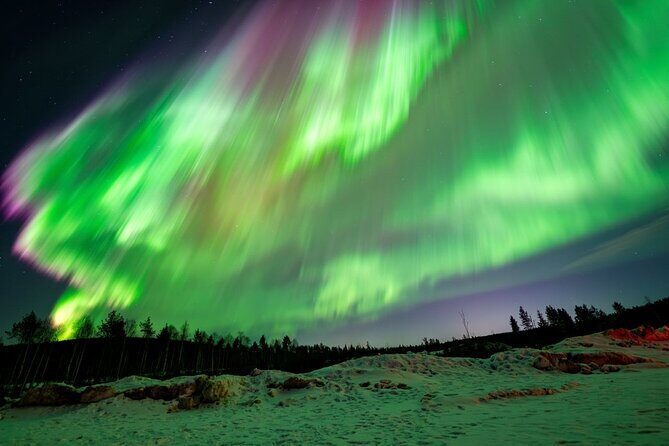 Aurora Guarantee: Ultimate Northern Lights Experience - The Guides: The Heart of the Experience