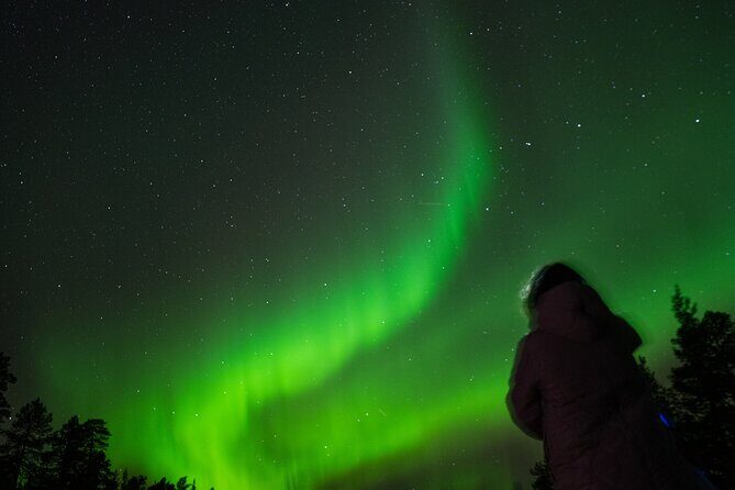 Aurora Hunting by Minivan in Ivalo, Inari or Saariselkä - Potential Drawbacks and Considerations