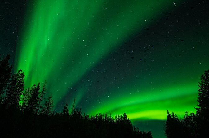 Aurora Hunting by Minivan in Ivalo, Inari or Saariselkä - FAQ