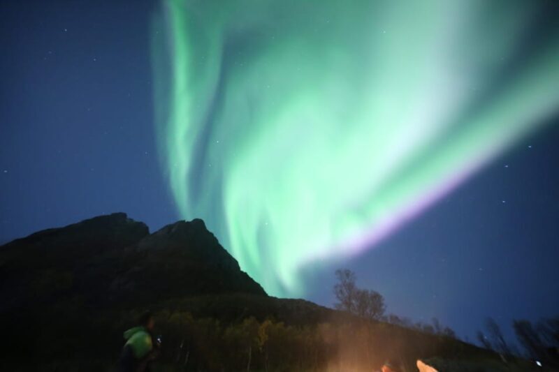 Aurora Optimum: Best 3-Night Forecast - The Sum Up: Is Aurora Optimum Right for You?