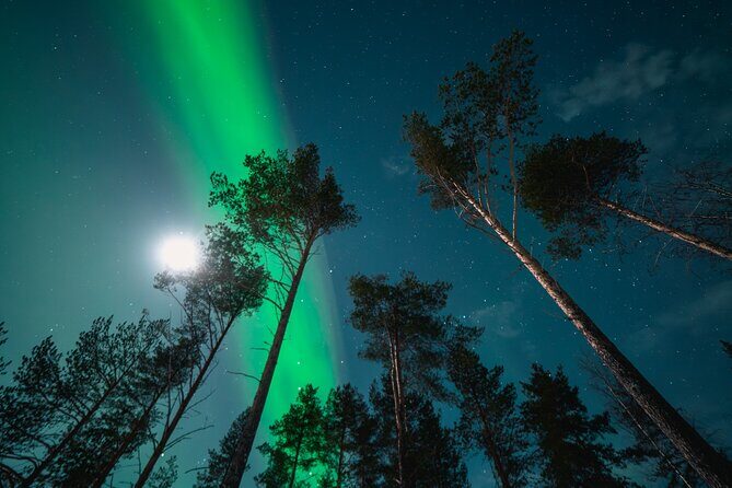 Aurora Photography Expedition with Video - Who Should Book This Tour?