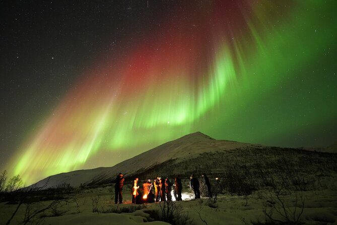 Aurora tour with free portrait and bonfire - The Scenic Chase for the Lights