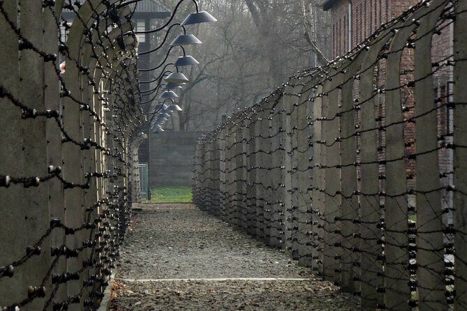 Auschwitz and Birkenau Guided Tour from Krakow - A Closer Look at the Auschwitz and Birkenau Tour Experience