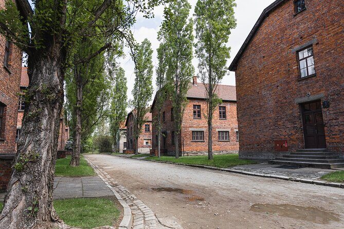 Auschwitz Birkenau and Wieliczka Salt Mine Day Tour from Krakow - The Sum Up