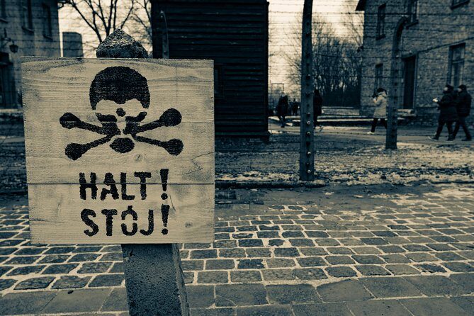 Auschwitz-Birkenau and Wieliczka Salt Mine Day Tour from Krakow with private car - The Sum Up