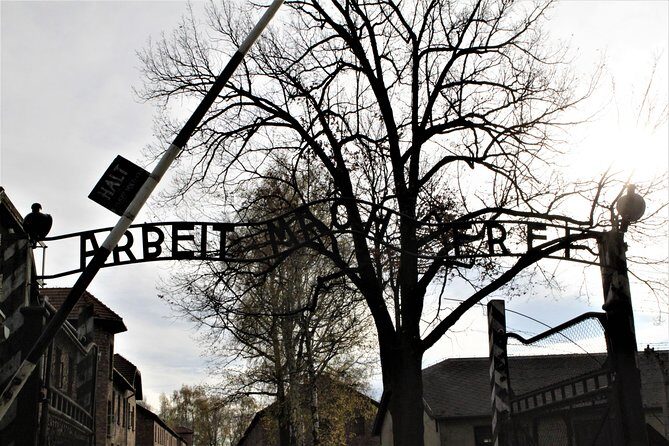 Auschwitz-Birkenau Guided Tour by Private Transport from Krakow - The Sum Up