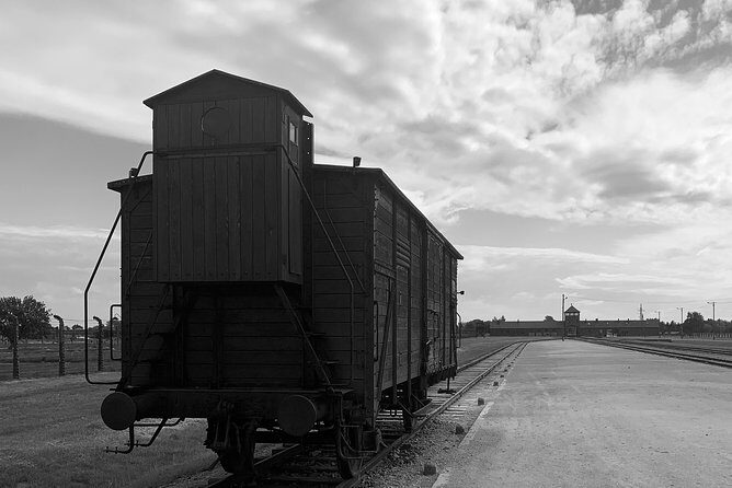 Auschwitz-Birkenau guided tour from Krakow - private car - Practical Details: Timing, Booking, and Accessibility