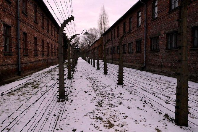 Auschwitz Birkenau Memorial and Museum group tour from Krakow - Authentic Insights from Reviews