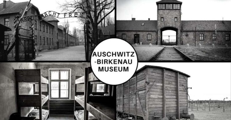Auschwitz-Birkenau: Museum Entry Ticket with Guided Tour - Key Points