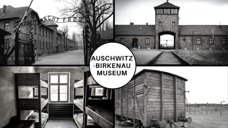 Auschwitz-Birkenau: Museum Entry Ticket with Guided Tour - Why Choose This Tour?