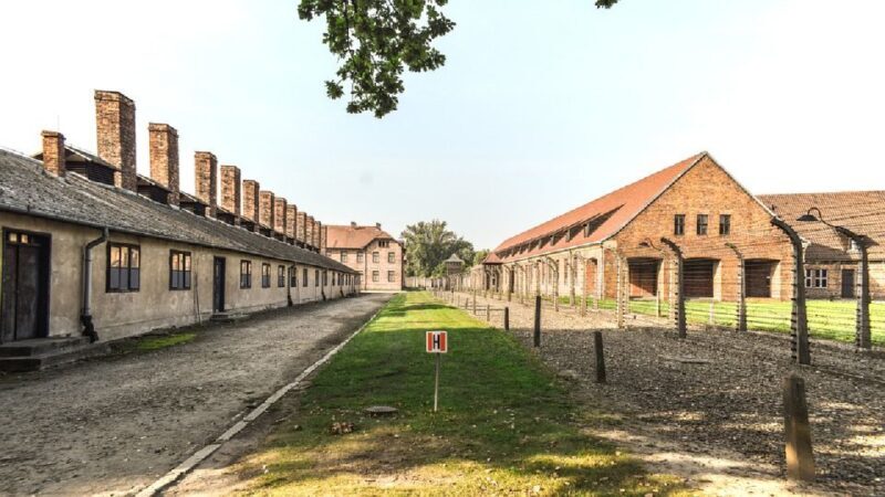 Auschwitz-Birkenau Museum Tour from Krakow - The Sum Up