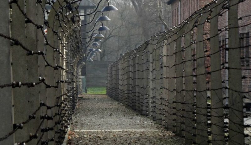 Auschwitz-Birkenau Private Tour from Katowice & Transport - Return Journey & Overall Value